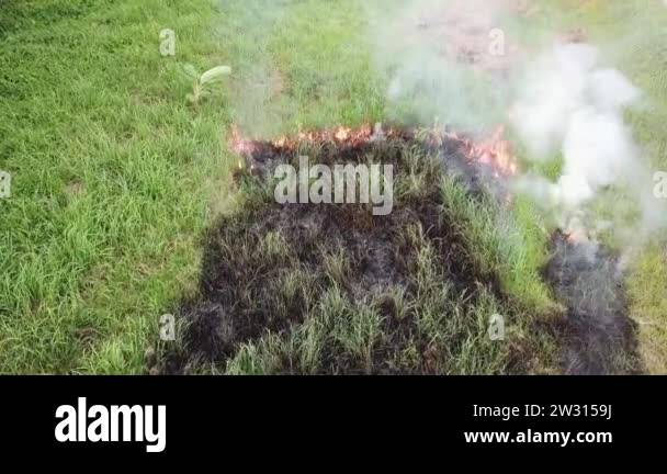 Big bush fire Stock Videos & Footage - HD and 4K Video Clips - Alamy