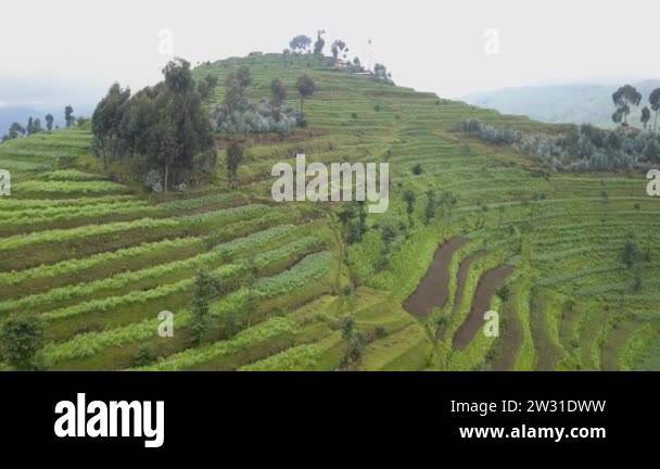 Terrace farming Stock Videos & Footage - HD and 4K Video Clips - Alamy