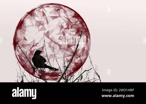 Raven art Stock Videos & Footage - HD and 4K Video Clips - Alamy
