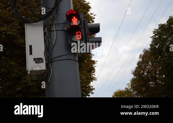 Close-up pedestrian traffic light. Two traffic lights turn red and turn ...