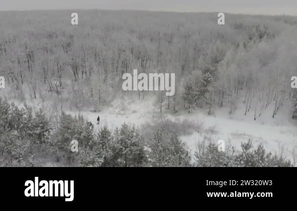 Forest snow aerial Stock Videos & Footage - HD and 4K Video Clips - Alamy