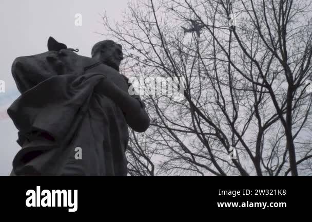 Giant plane tree Stock Videos & Footage - HD and 4K Video Clips - Alamy