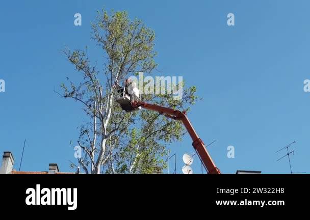 Hydraulic platform to cut tree branches Stock Videos & Footage - HD and ...