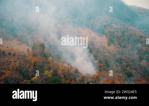 Smog of bushfire fires. Deforestation and Climate crisis. Toxic haze ...
