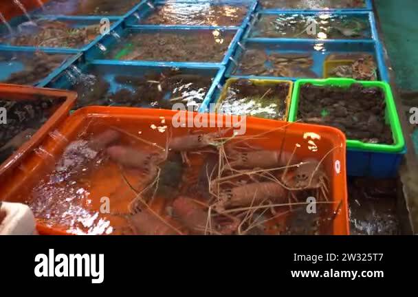 4K, Asian traditional seafood market stand, sell fresh food at Fuji ...