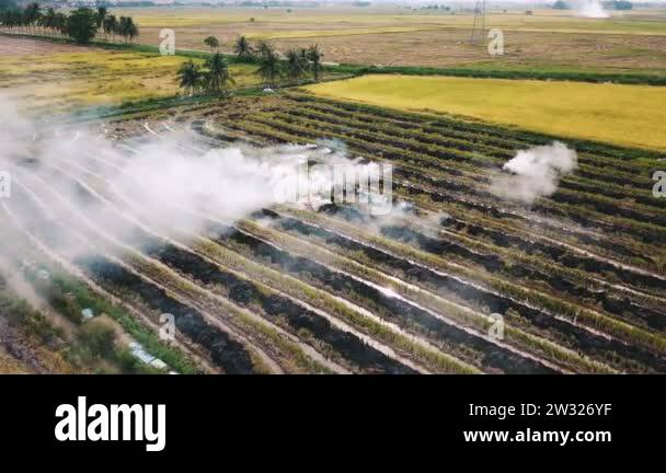 Open fire at rice paddy field causing air pollution at Southeast Asia ...