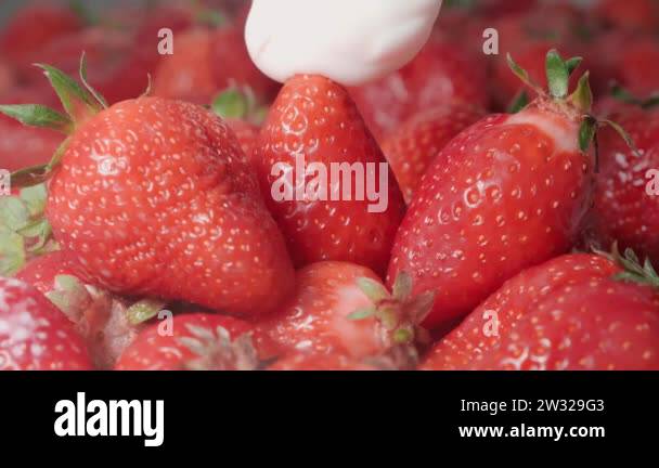 Cream dripping on strawberry Stock Videos & Footage - HD and 4K Video ...