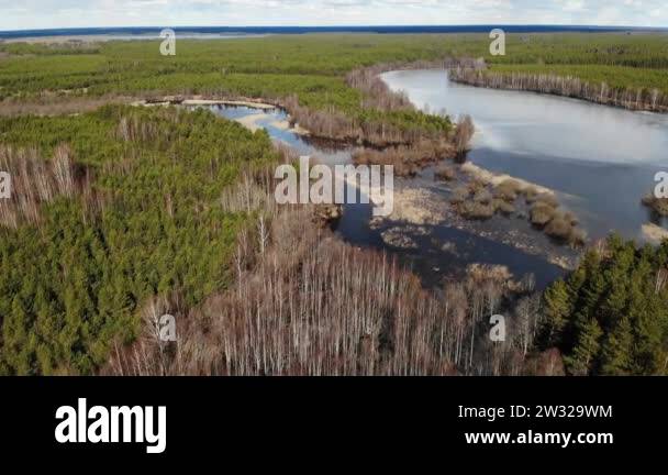 Wide border pattern Stock Videos & Footage - HD and 4K Video Clips - Alamy