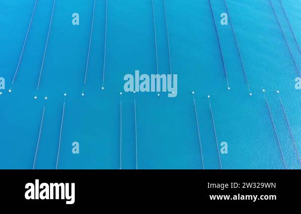 Mussel cultivation Stock Videos & Footage - HD and 4K Video Clips - Alamy