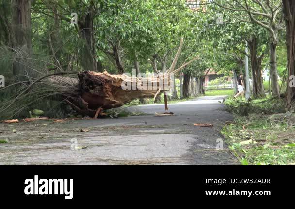 Typhoon damage building taiwan Stock Videos & Footage - HD and 4K Video ...