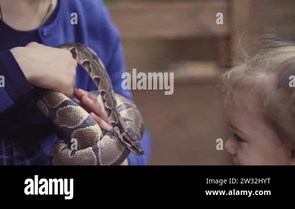 nature girl holding snake at zoo enjoying excursion to wildlife ...