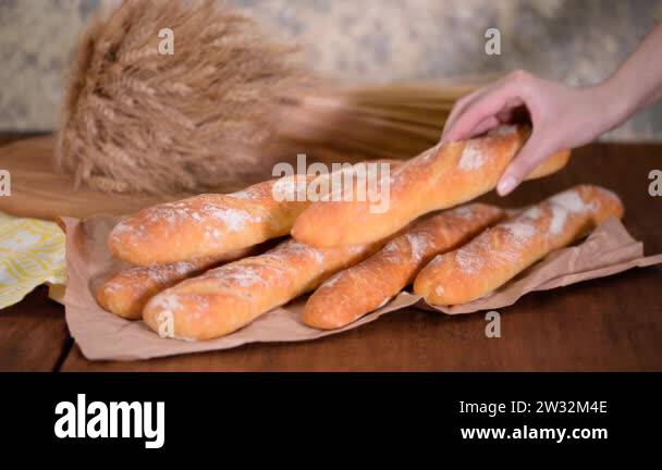Breaking a baguette. Hands of woman breaking baked bread in half. Woman ...