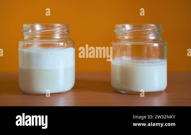 two jars of yeast are fermented in turn. To the left is ordinary yeast ...