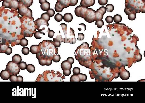 Multi pack of alpha elements. Animation of the words 3 Alpha Virus ...