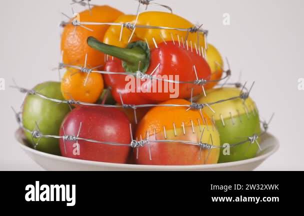 GMO foods. GMO concept genetically altered or modified food. Hybrids of ...