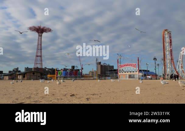 Seagulls flying and walk on Coney Island under a bank of white clouds ...