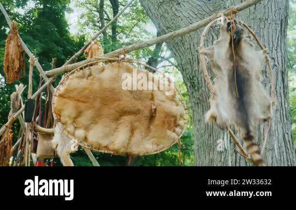 Wigwam frame Stock Videos & Footage - HD and 4K Video Clips - Alamy
