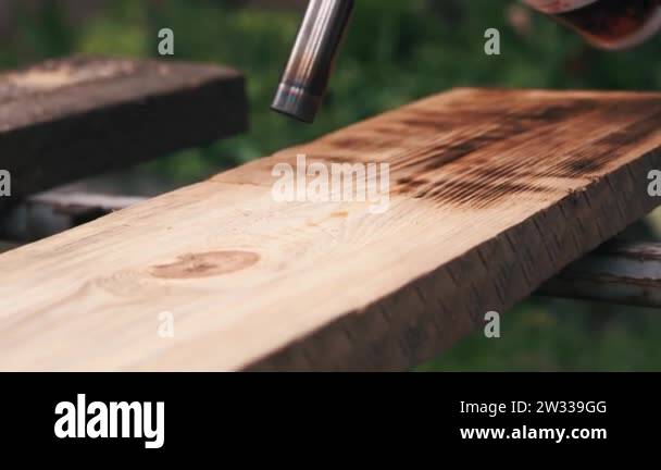 Wizard tree Stock Videos & Footage - HD and 4K Video Clips - Alamy