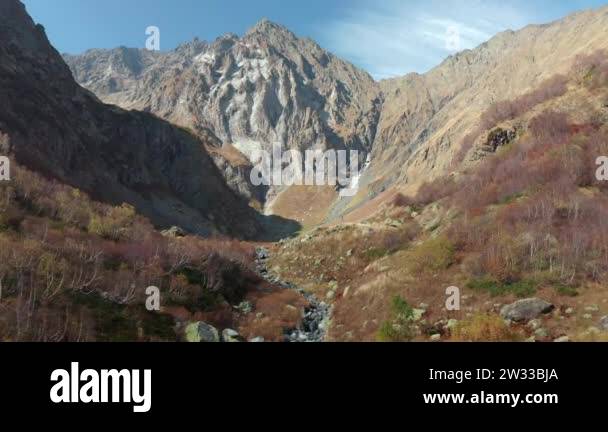 Plant of dry rocky slopes Stock Videos & Footage - HD and 4K Video ...