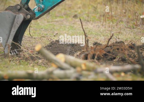 How to remove tree roots Stock Videos & Footage - HD and 4K Video Clips ...