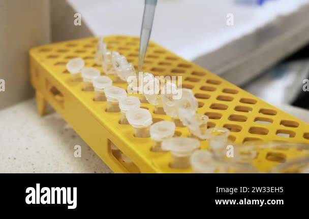 Scientist pipetting sample into test tube during experiment lab Stock ...