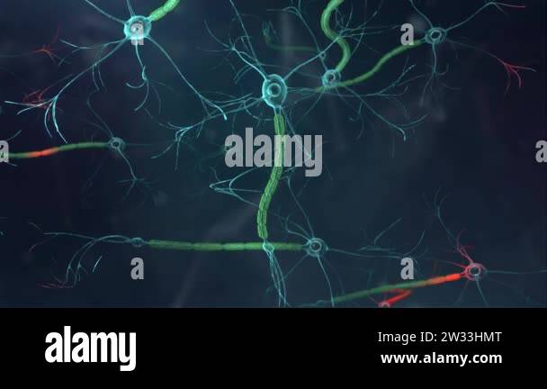 Electric Impulse,cell nucleus, Myelin sheath, dendrites, signal ...