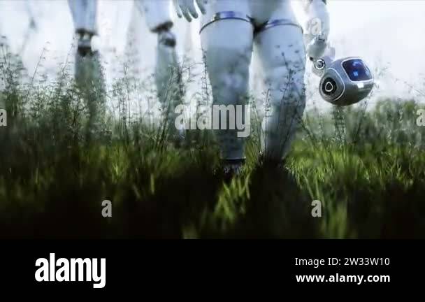 mother robot with her baby robot in the meadow on the background of a ...