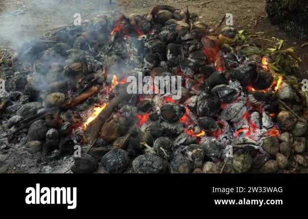 Use of coconut husk Stock Videos & Footage - HD and 4K Video Clips - Alamy