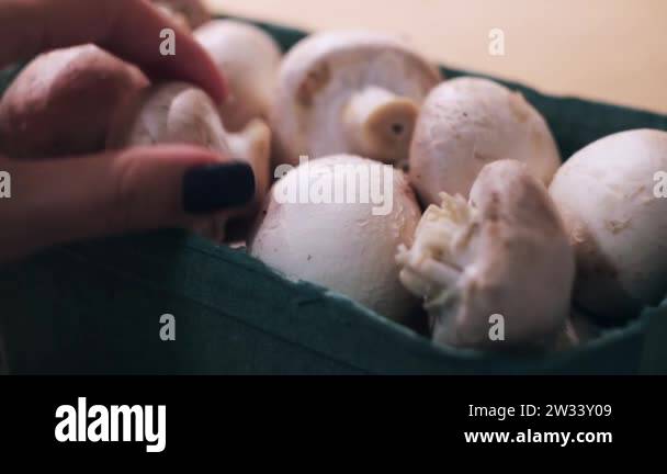 Mushrooms form Stock Videos & Footage - HD and 4K Video Clips - Alamy