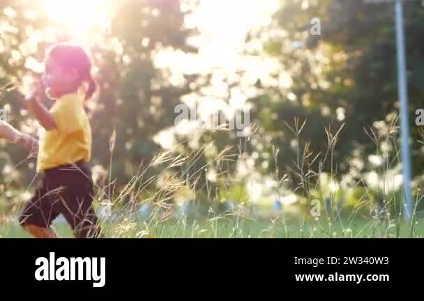 The nature view of green leaf on blurred greenery background in garden ...