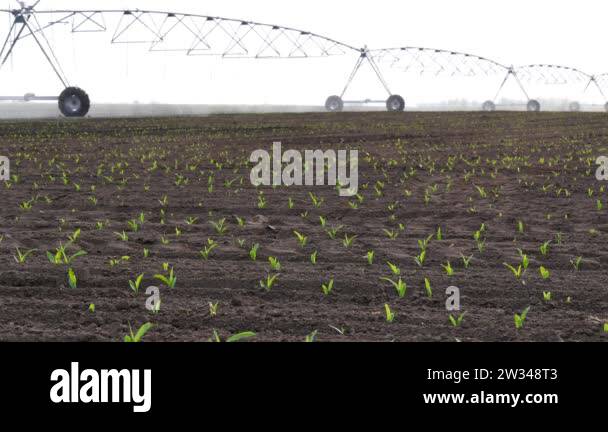 Early water supply Stock Videos & Footage - HD and 4K Video Clips - Alamy