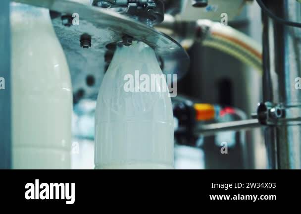 Plastic bottles filling with milk. Milk pouring into plastic bottles at ...