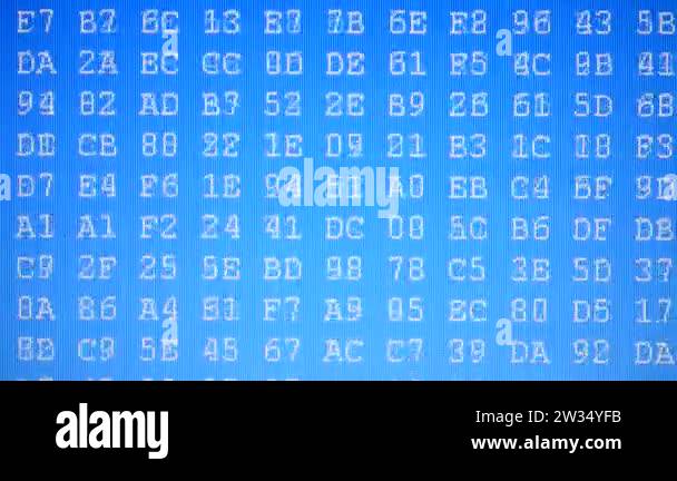 Figures And Letters Hexadecimal Program Code On Screen Animated Background Of Moving Binary