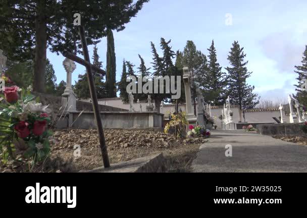 4K Tumbs In A Cemetery with headstone, old white cross and cypress tree ...