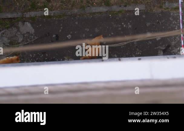 Homeless fittings Stock Videos & Footage - HD and 4K Video Clips - Alamy