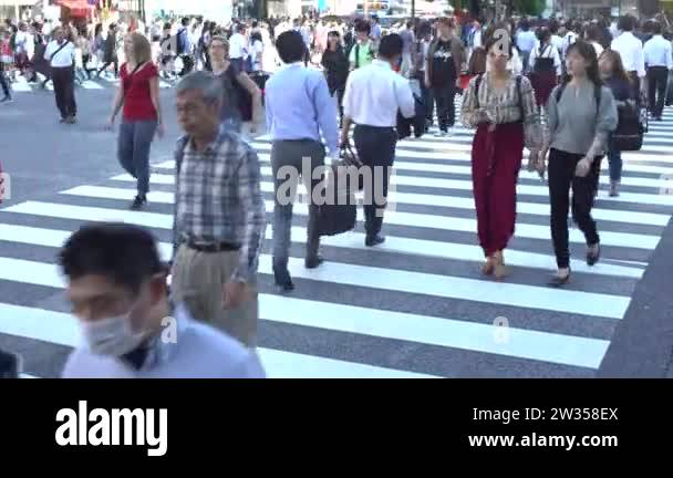 Tokyo, Japan-29 September, 2017: 4K Crowd of pedestrian crossing in Shibuya intersection Tokyo ...