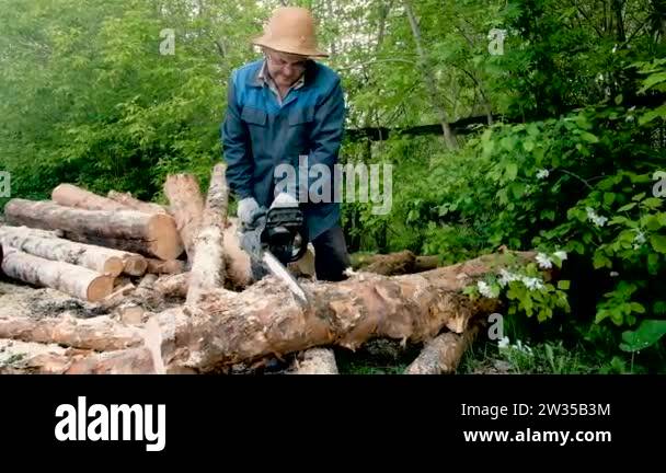 man sawing wood with a chainsaw. Deforestation, concept of logging. A ...