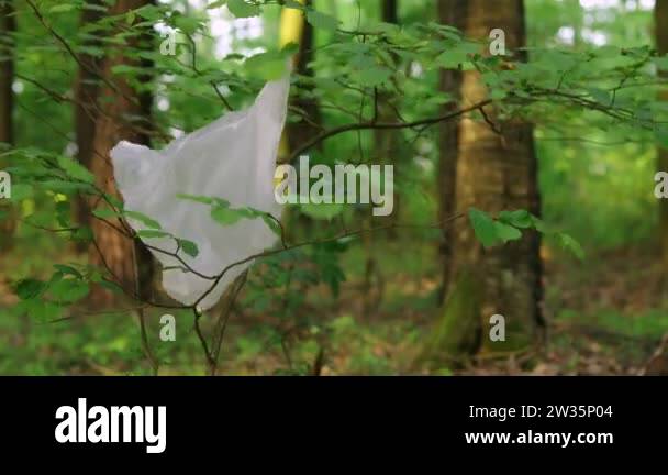 Plastic bag left in forest. Plastic pollution and irresponsibility for ...