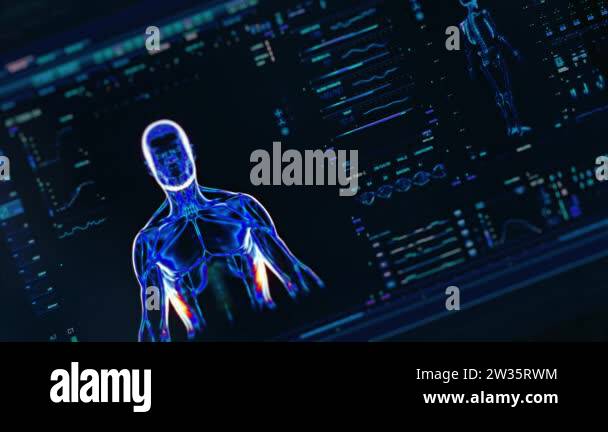 Holographic perspective futuristic Interface showing analysis of human ...