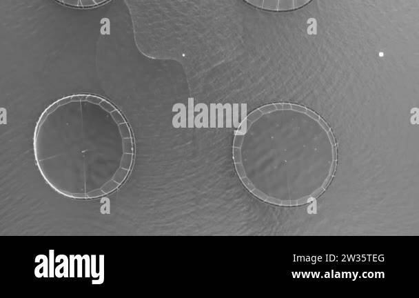 Sea fish farming in round net with floating cages in Iceland. Overhead ...