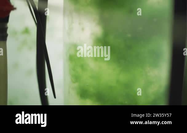Algae in a biotech lab container for scientific tests with algae in ...