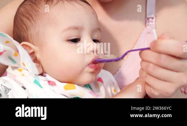 mother holds the baby in her arms and feeds her boy with a spoon ...