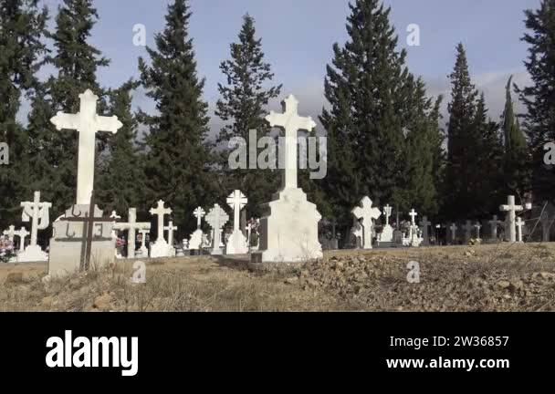 4K Tumbs In A Cemetery with headstone, old white cross and cypress tree ...
