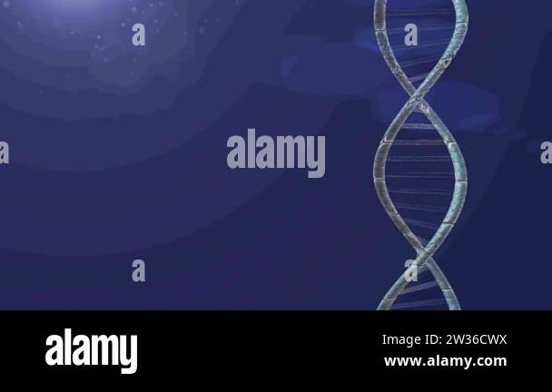 Gene vector Stock Videos & Footage - HD and 4K Video Clips - Alamy