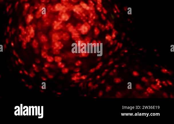 Abstract red burning up background Full HD video in slow motion ...