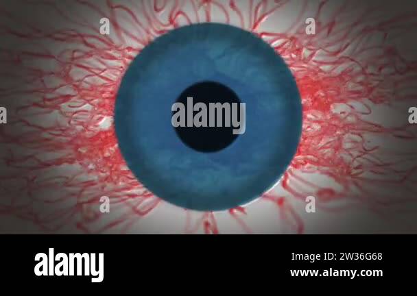 Blue veins Stock Videos & Footage - HD and 4K Video Clips - Alamy