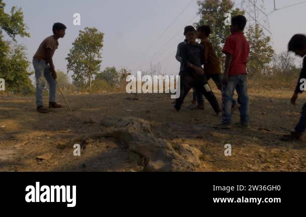 Village cricket game Stock Videos & Footage - HD and 4K Video Clips - Alamy