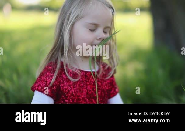 SLOW MOTION Happy cute blond little girl in red dress touch the tree ...