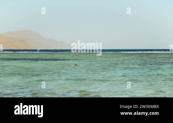 Man snorkeling in red sea, Beautiful landscape of blue sea and clear ...
