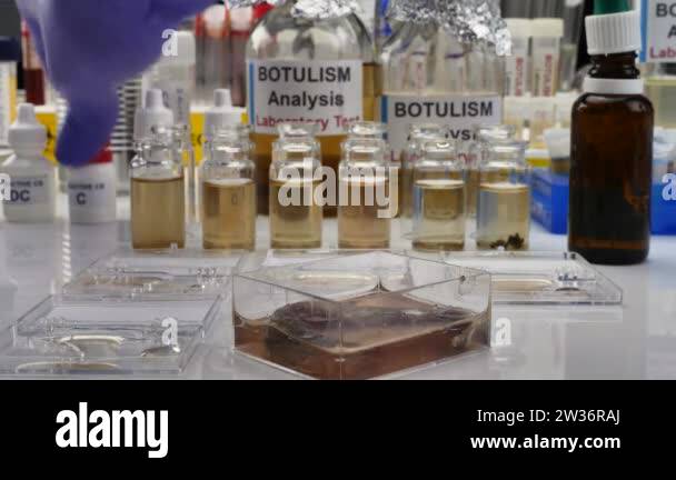 Experienced laboratory scientist analyzing a sample from a canned food ...